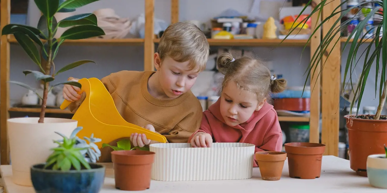 What is the Curiosity Approach?