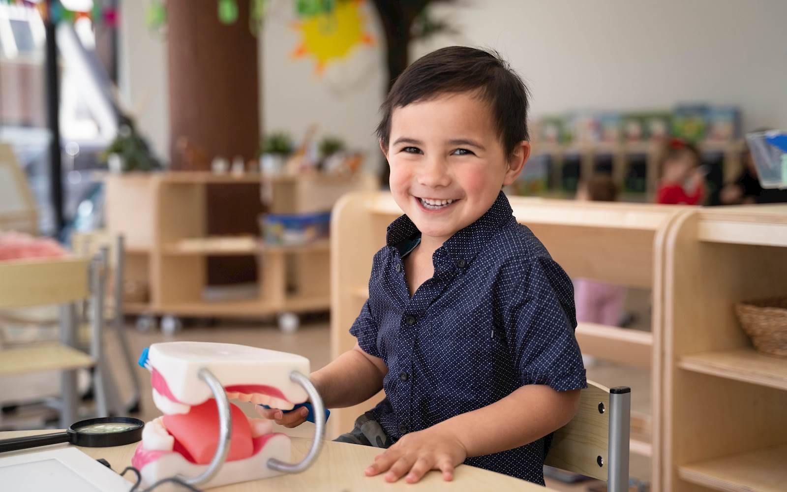 Carlingford West Kindergarten in Carlingford, NSW 2118 | CareforKids.com.au