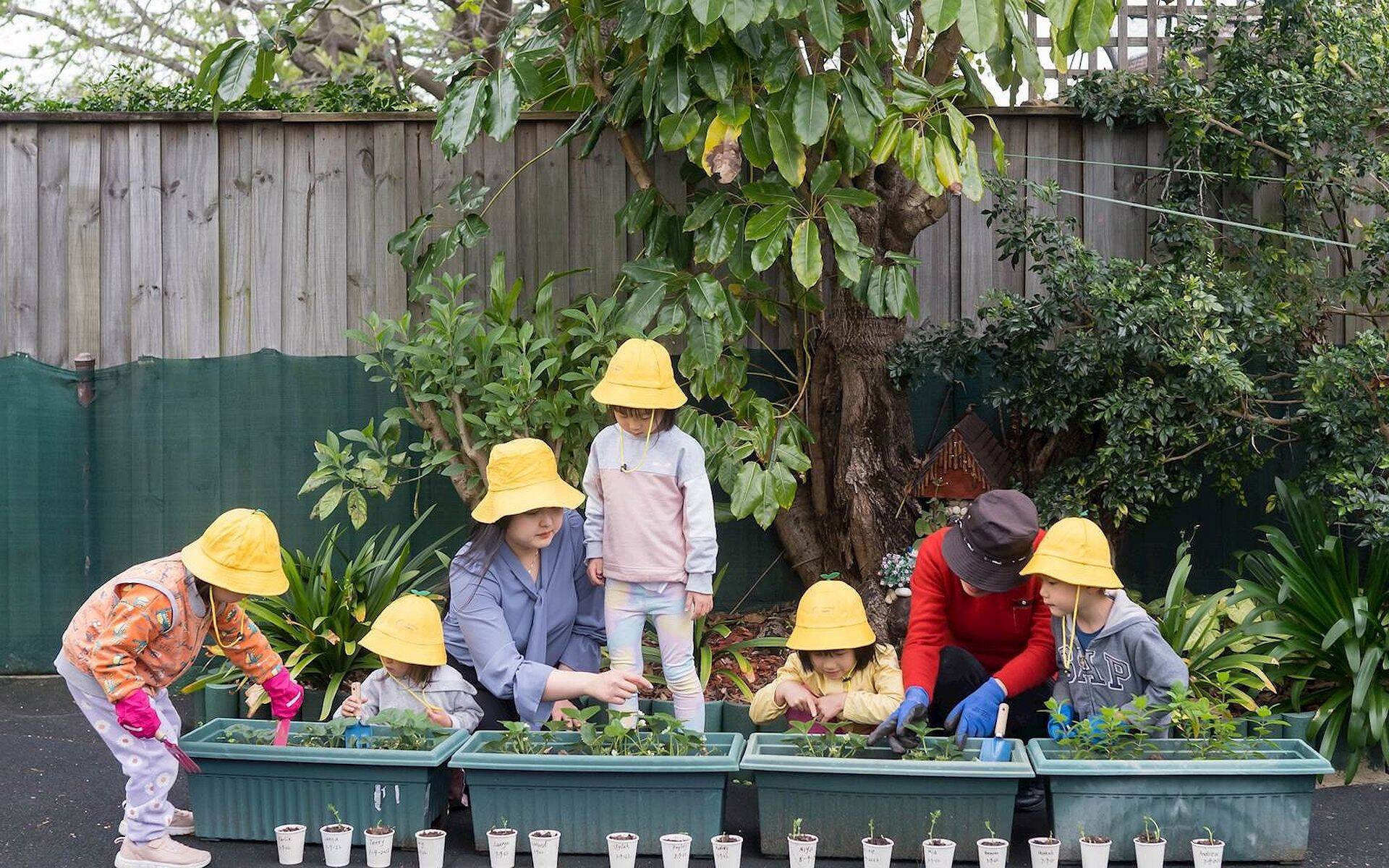 Vacancies, Enrol now at Morning Buds Early Learning Centre in Denistone East, NSW 2112 ...