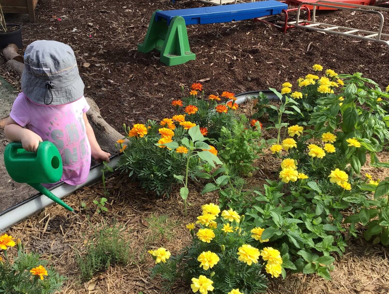 Vacancies, Enrol now at Camp Australia - Daisy Hill State School OSHC ...